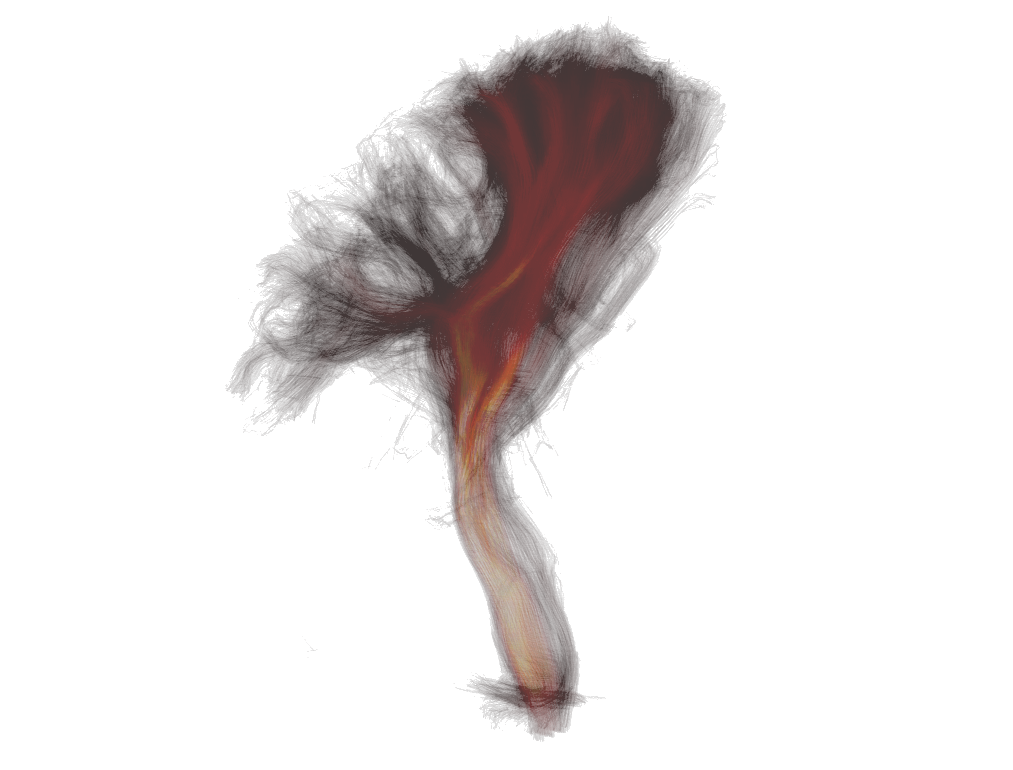 3D view — FSLeyes documentation