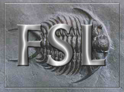 FSL Course